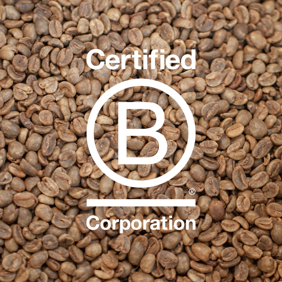KALVE Coffee's Story of the Journey to B Corp – Kalve Coffee Roasters